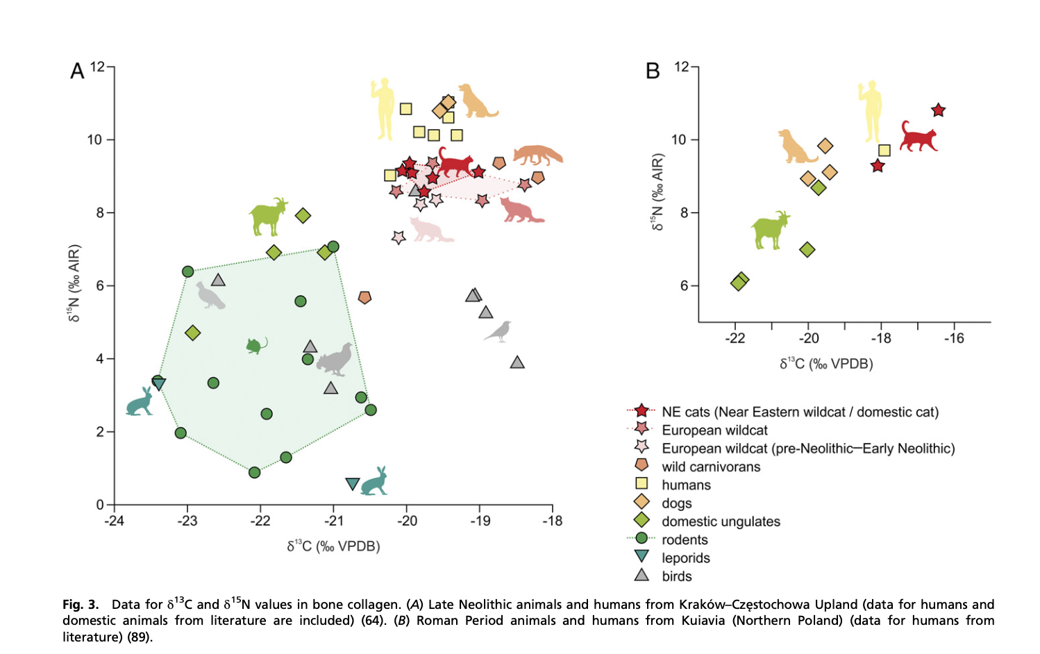 Purrilous Love: Cats, Biodiversity, and the Art of Feline Diplomacy