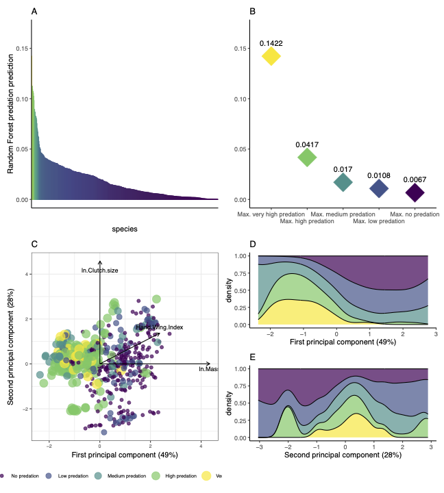 Purrilous Love: Cats, Biodiversity, and the Art of Feline Diplomacy